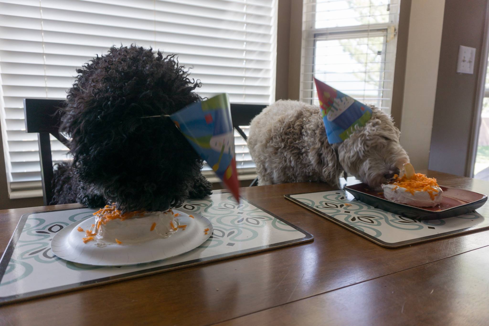 About – Sarah MacKay